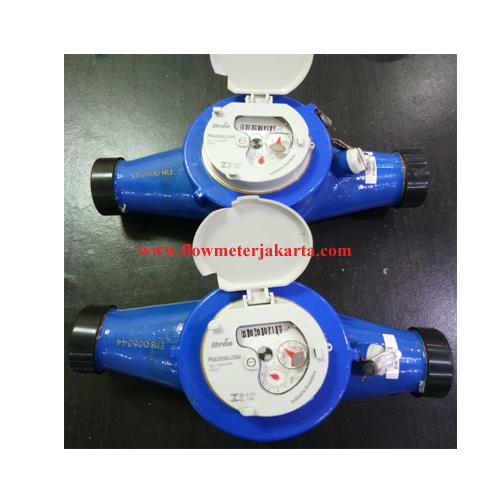 Water Meter ITRON Multimag TM II Cyble DN 25 mm | CV. ANEKA ALAT TEKNIK